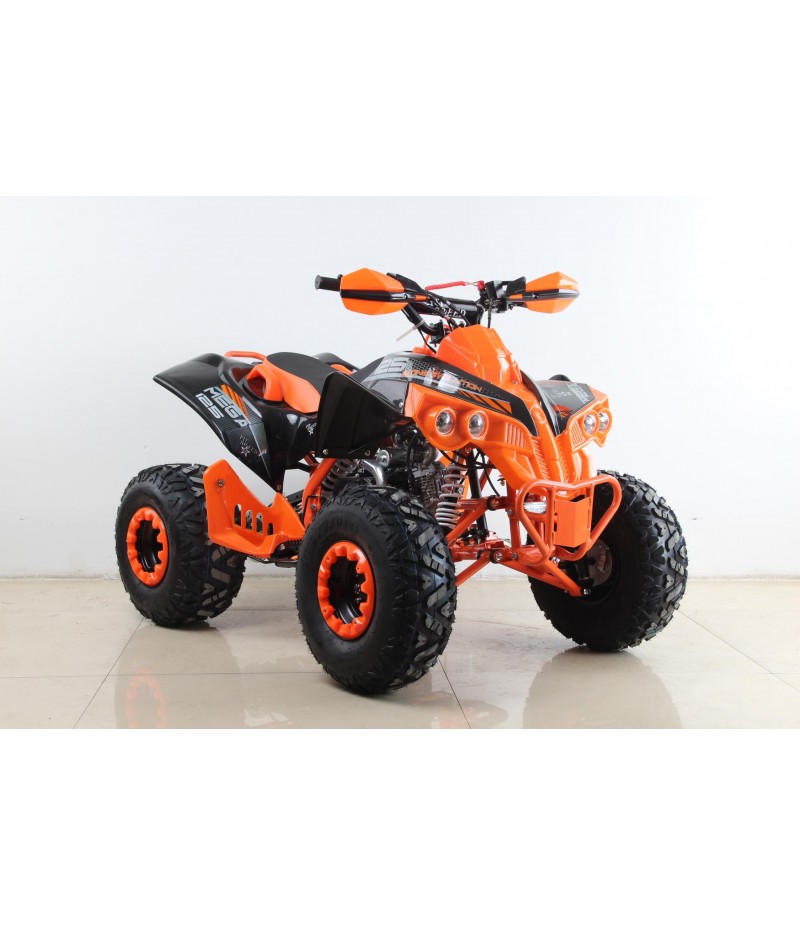 Quad Pit Speed Warrior 125cc.